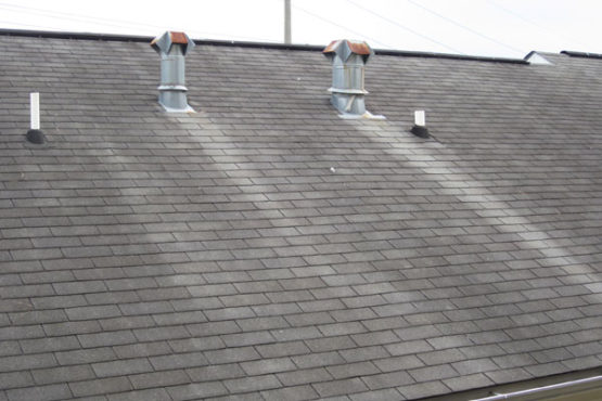 The Clean Truth About Dirty Shingles - Home Inspections by US Inspect