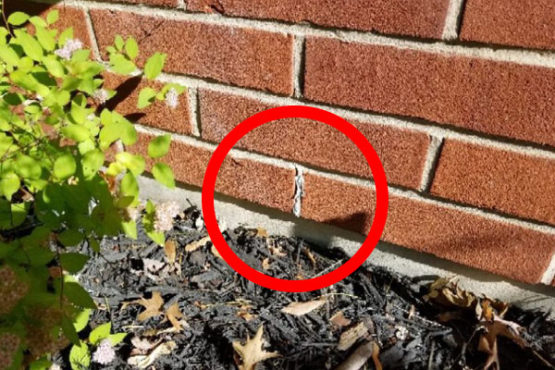 Why Weep Holes Make You Cry - Home Inspections by US Inspect